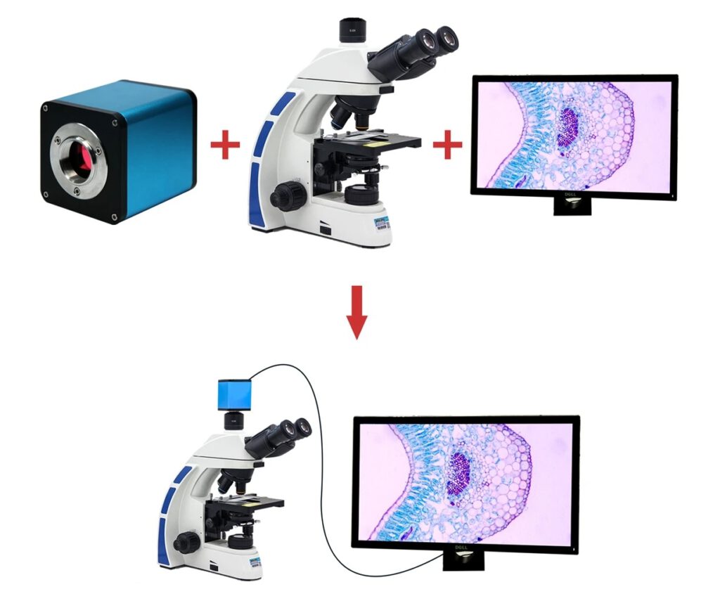 Autofocus Microscope Camera – Eert Vision